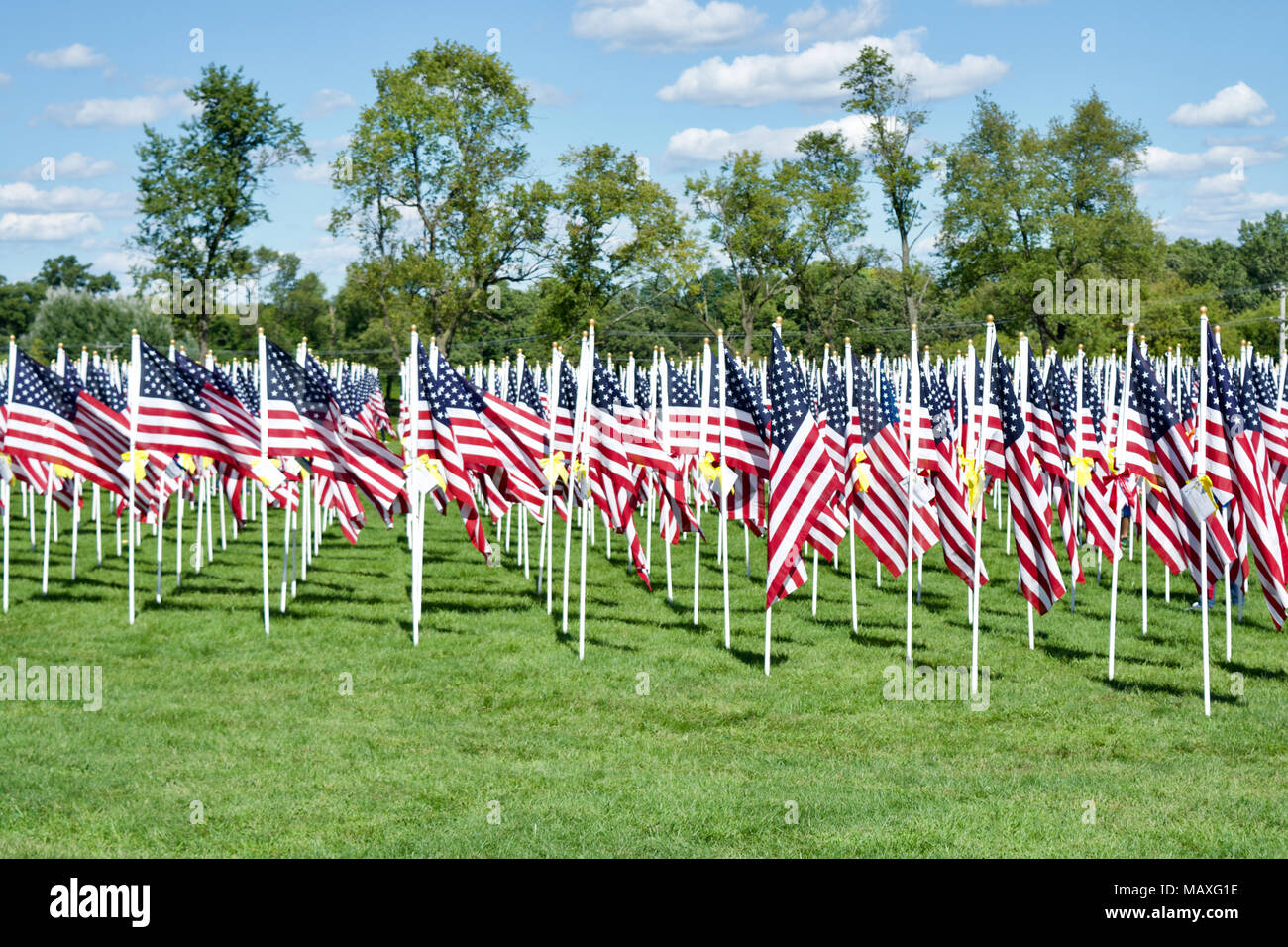 Field of American Flags Stock Photo - Alamy