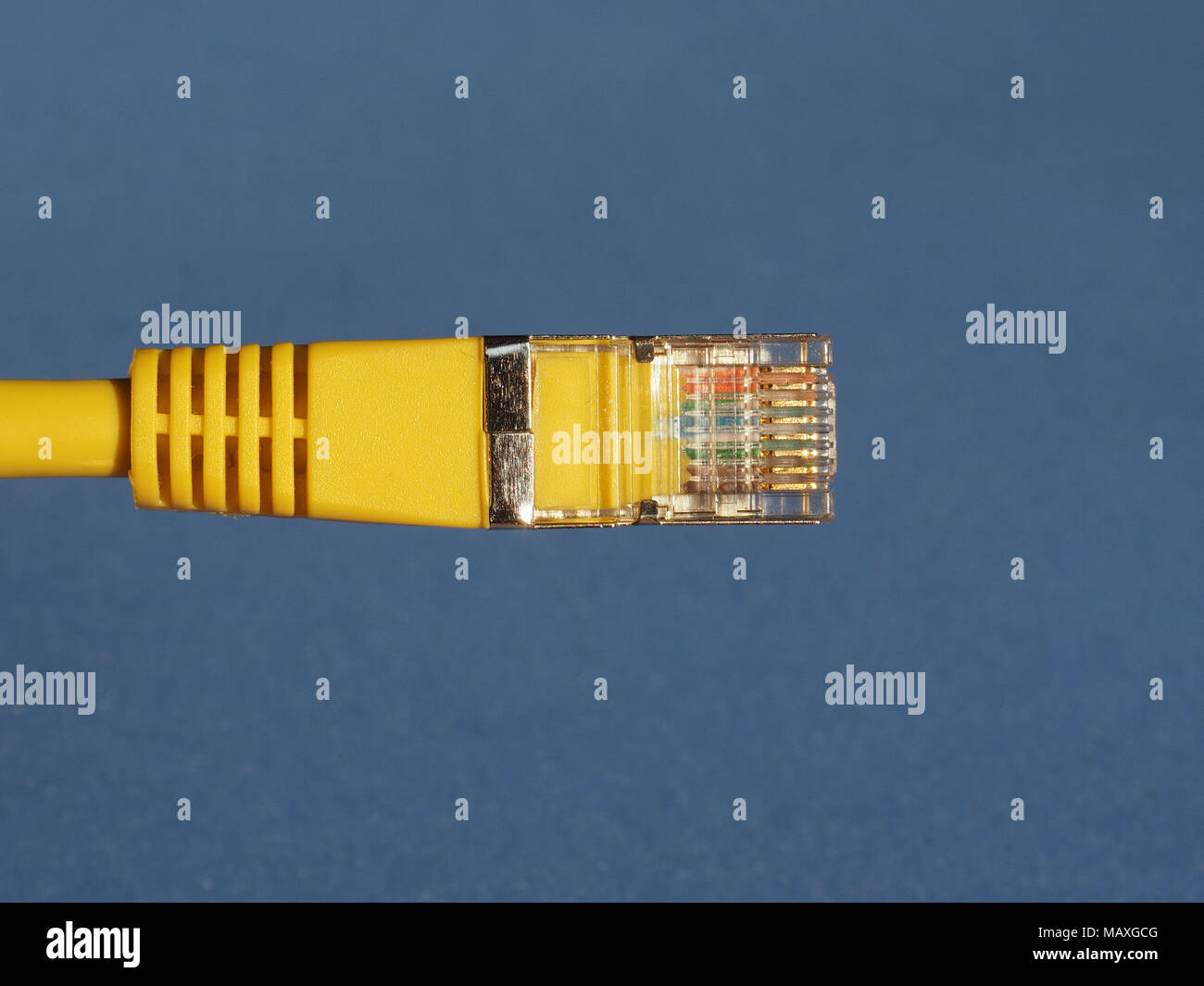 RJ45 plug for LAN local area network ethernet connection Stock Photo ...