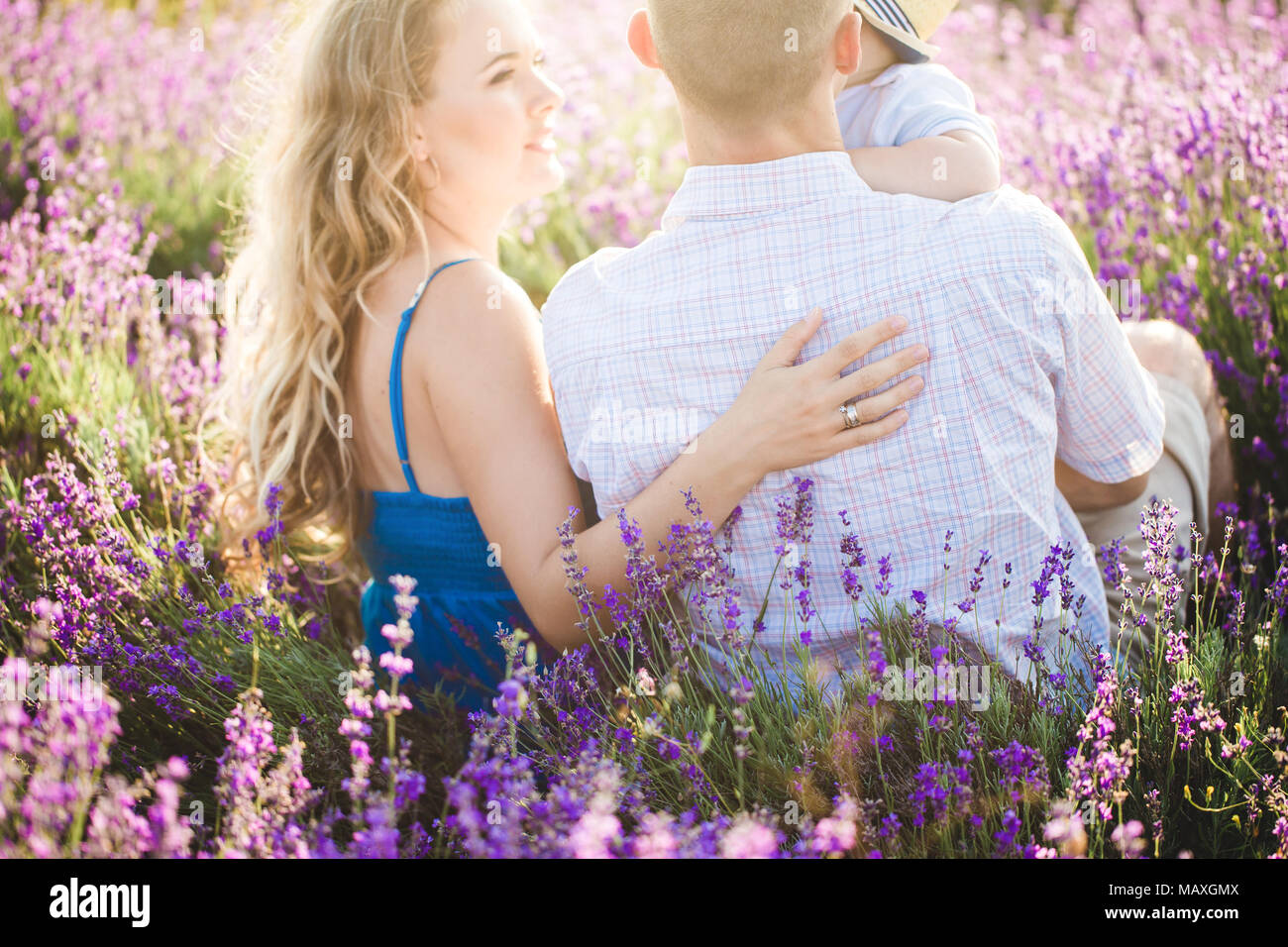 Lavender family hi-res stock photography and images - Alamy