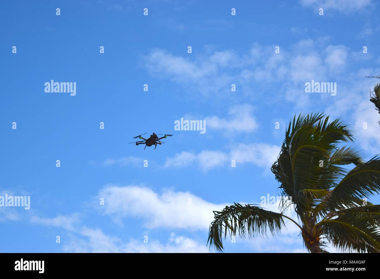 Drone video footage palm trees hi-res stock photography and images - Alamy