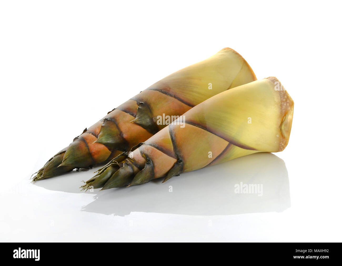 bamboo shoot isolated on white background Stock Photo - Alamy