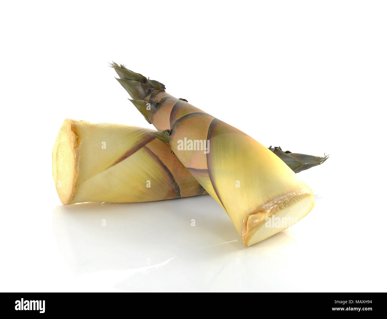 bamboo shoot isolated on white background Stock Photo - Alamy