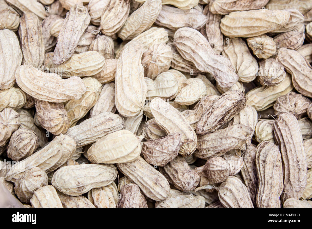 Many monkey nuts hi-res stock photography and images - Alamy