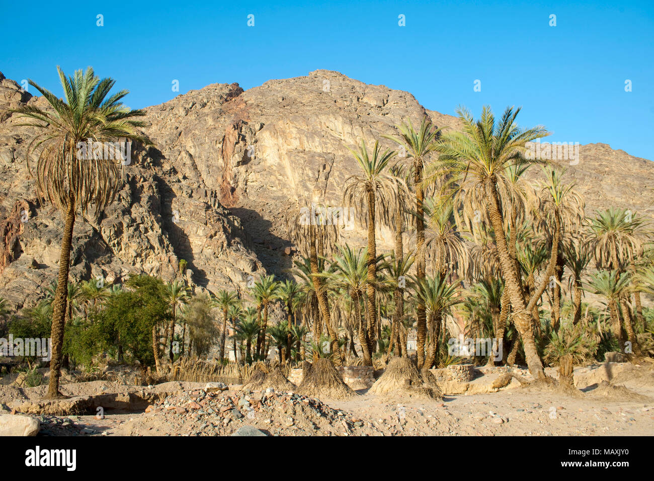 Aegypten, Sinai, Nordsinai, Wadi Feiran Stock Photo - Alamy