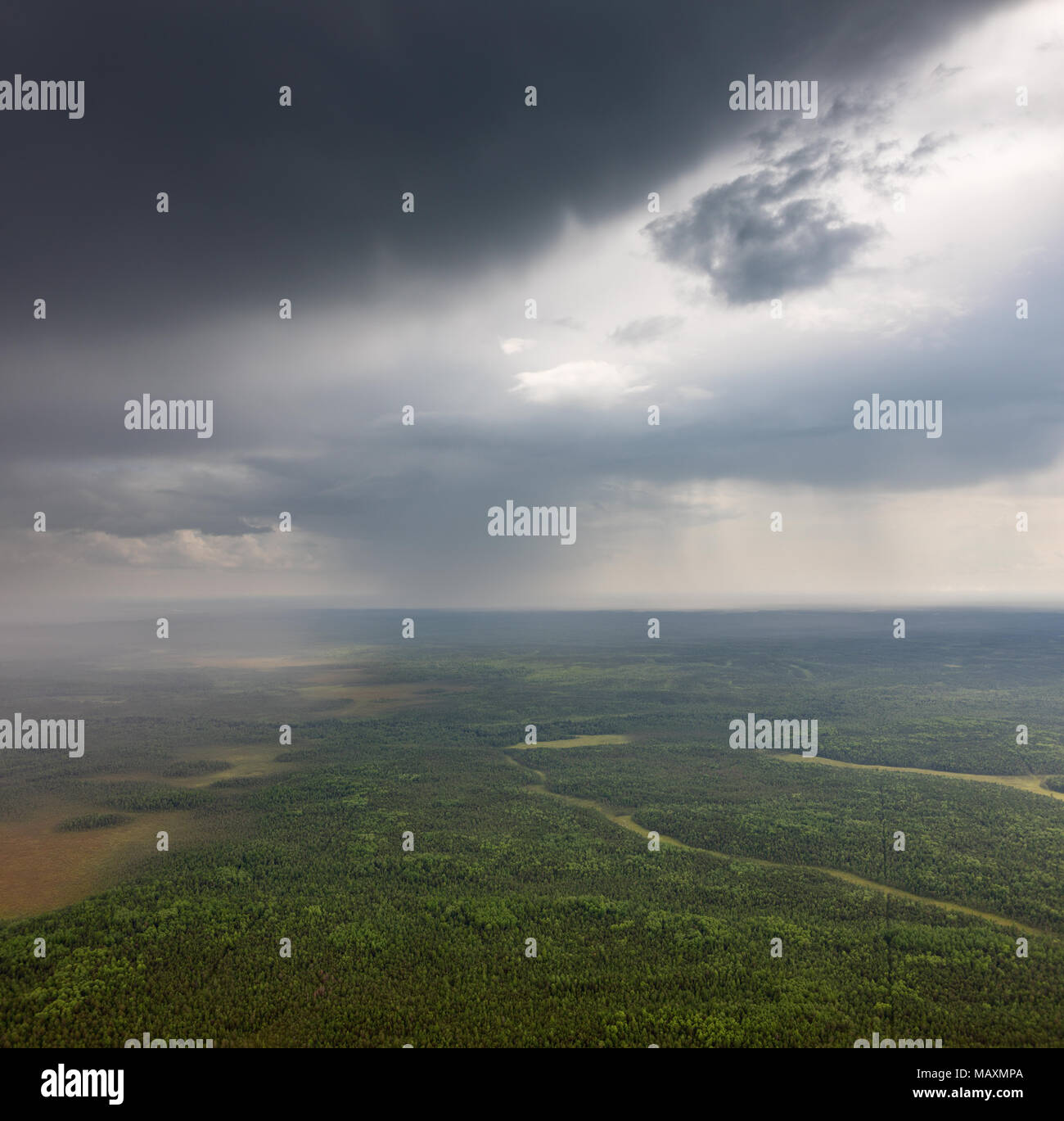 Rain comes from thunderclouds over the forest plain in summer, the top ...
