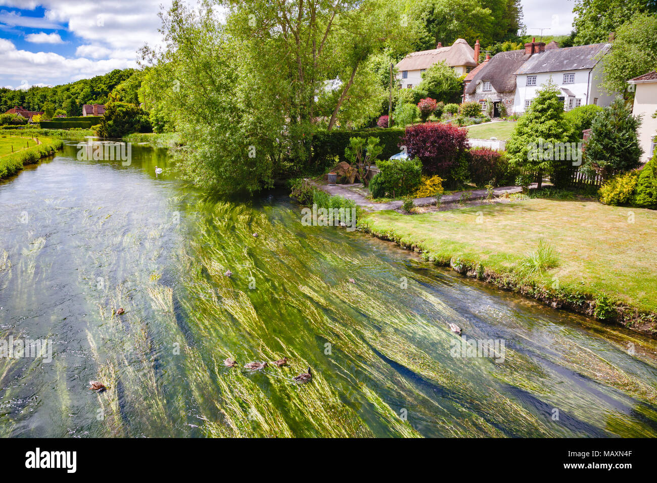 Bristol river avon south west hi-res stock photography and images - Alamy