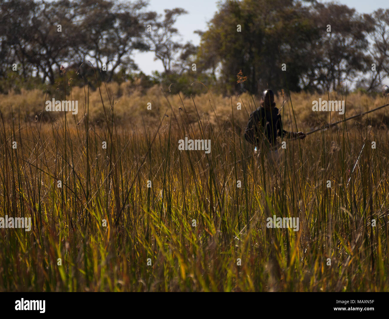 Mokoro in Okavango Delta, Botswana, Africa Stock Photo - Alamy