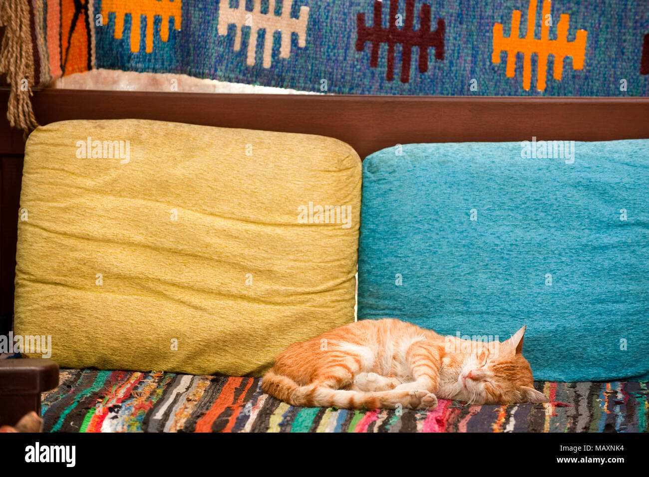 Egypt, Sinai Peninsula, Dahab, "Friends Restaurant Stock Photo - Alamy