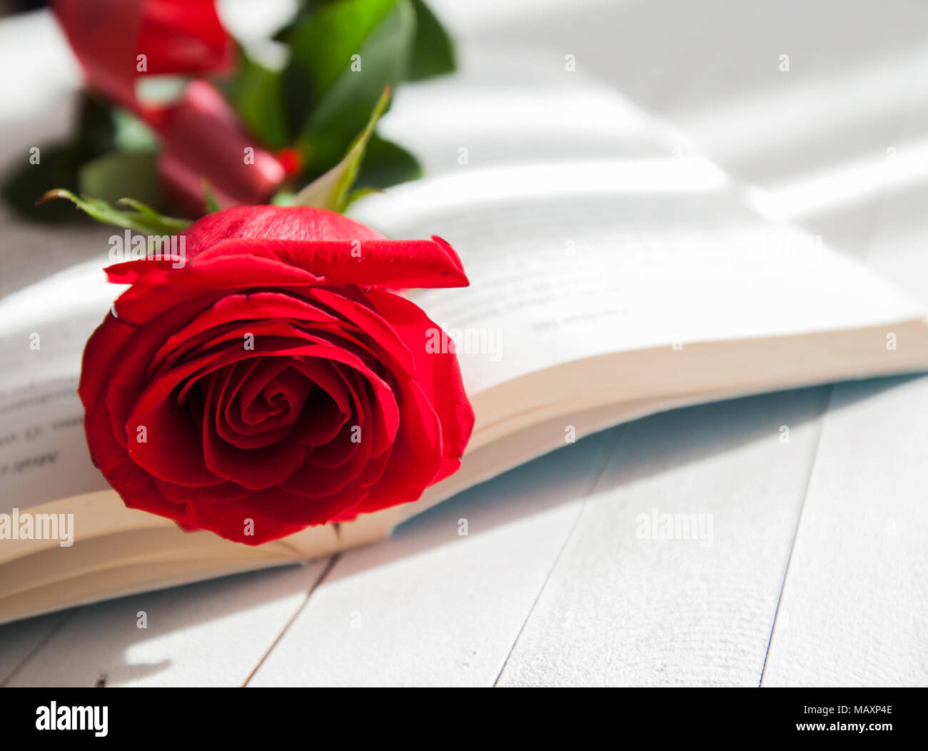 Red rose flower over open book on white wooden background, romantic and ...