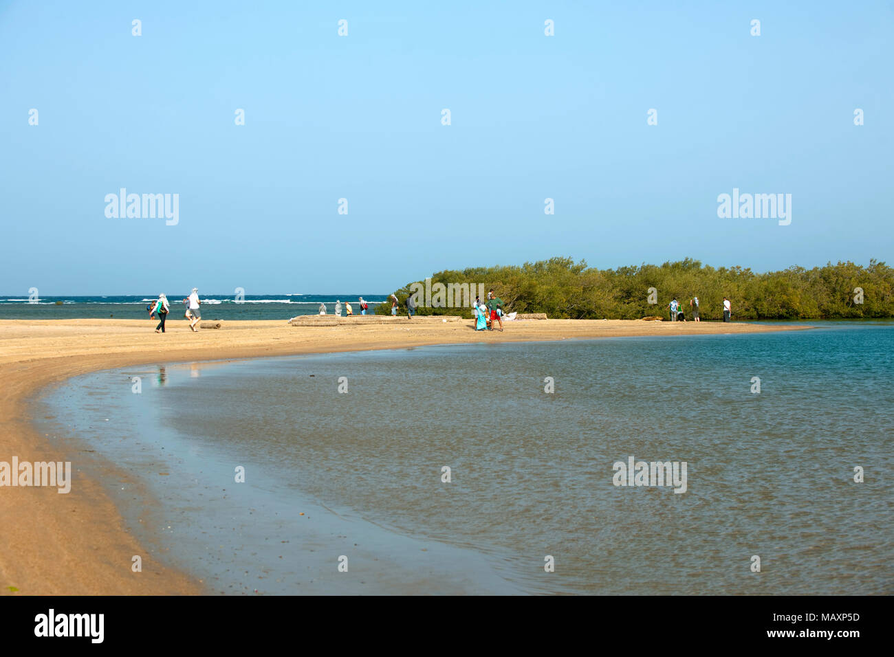 Nabq nature reserve hi-res stock photography and images - Alamy