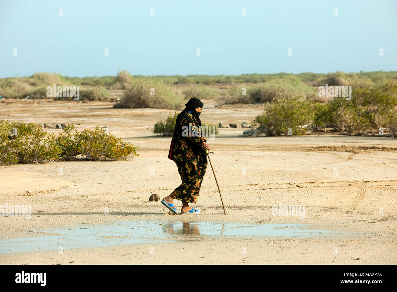 Nabq nature reserve hi-res stock photography and images - Alamy