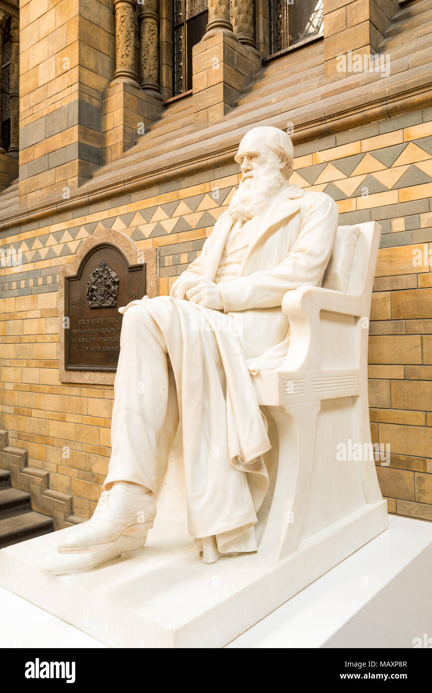 Statue of Charles Darwin in the main hall of the Natural History Museum ...