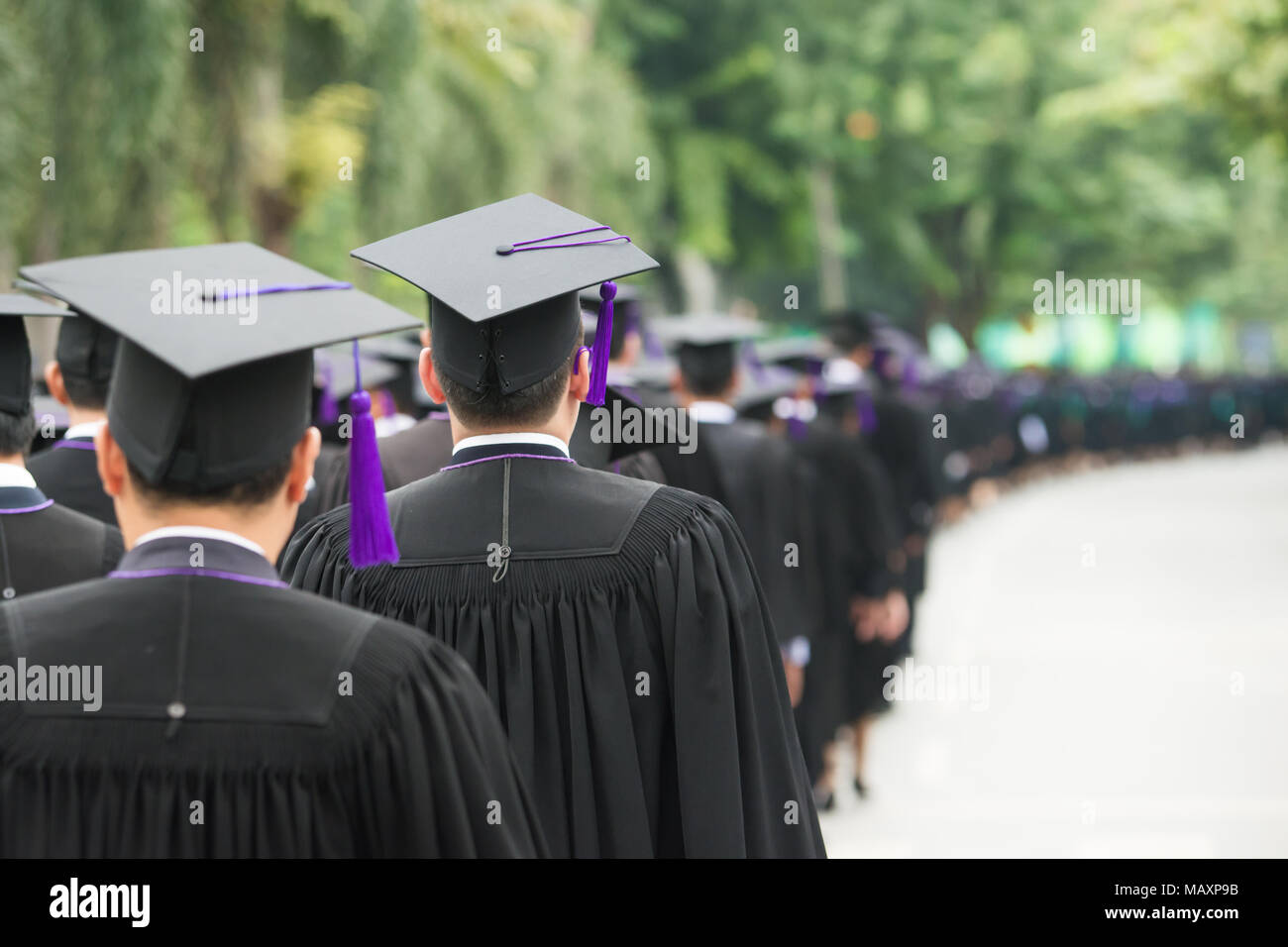 Back of graduates during commencement at university. Graduate walking ...
