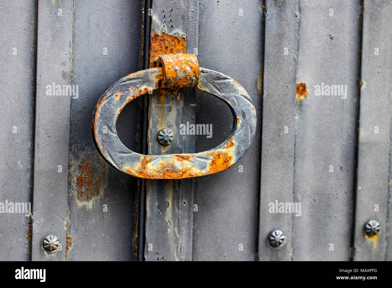 decorative parts of metal gates, elements of hand forging Stock Photo ...
