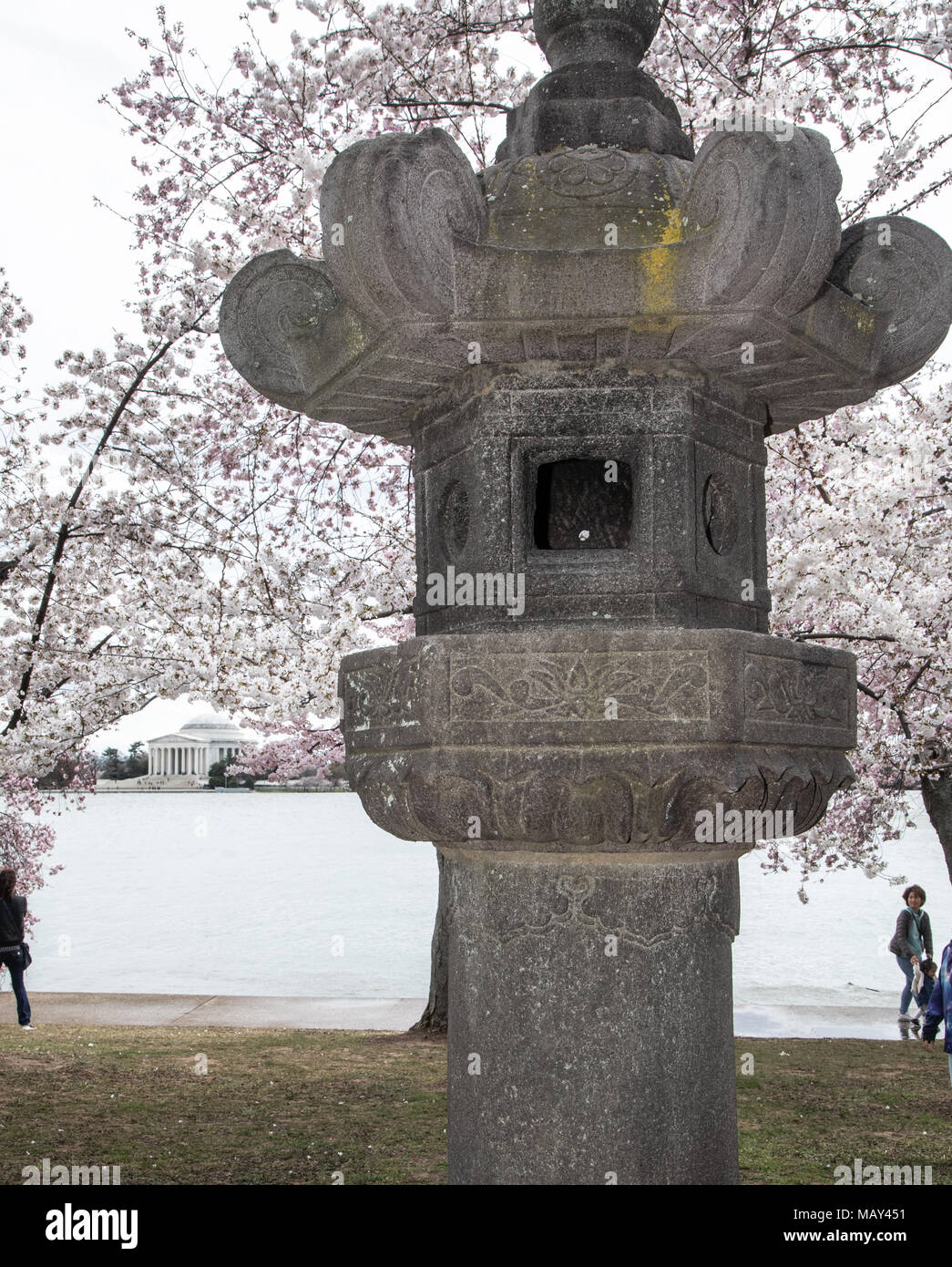 The Japanese Stone Lantern stands among the cherry trees, just north of ...