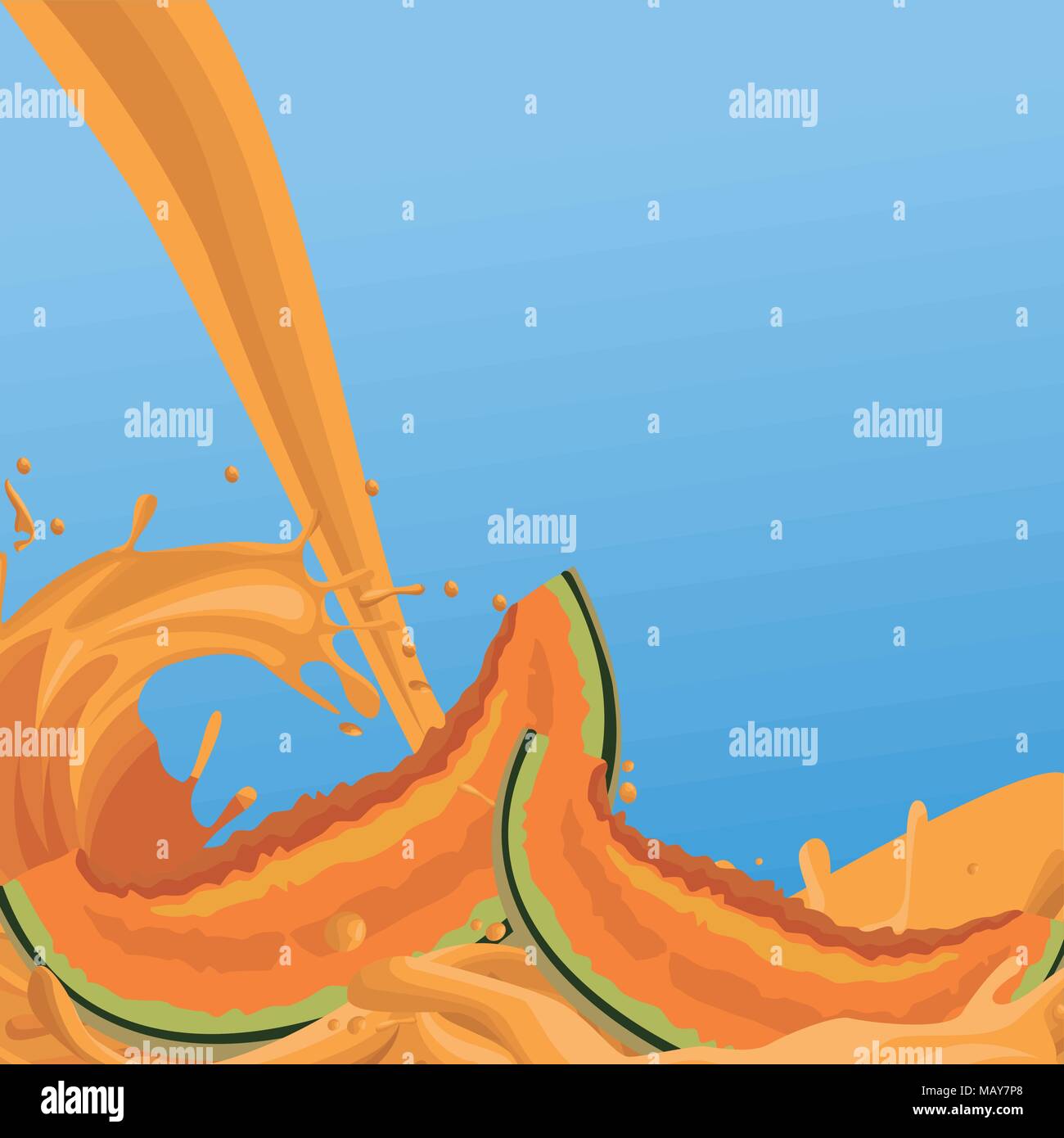 Fresh melons Stock Vector Images - Alamy