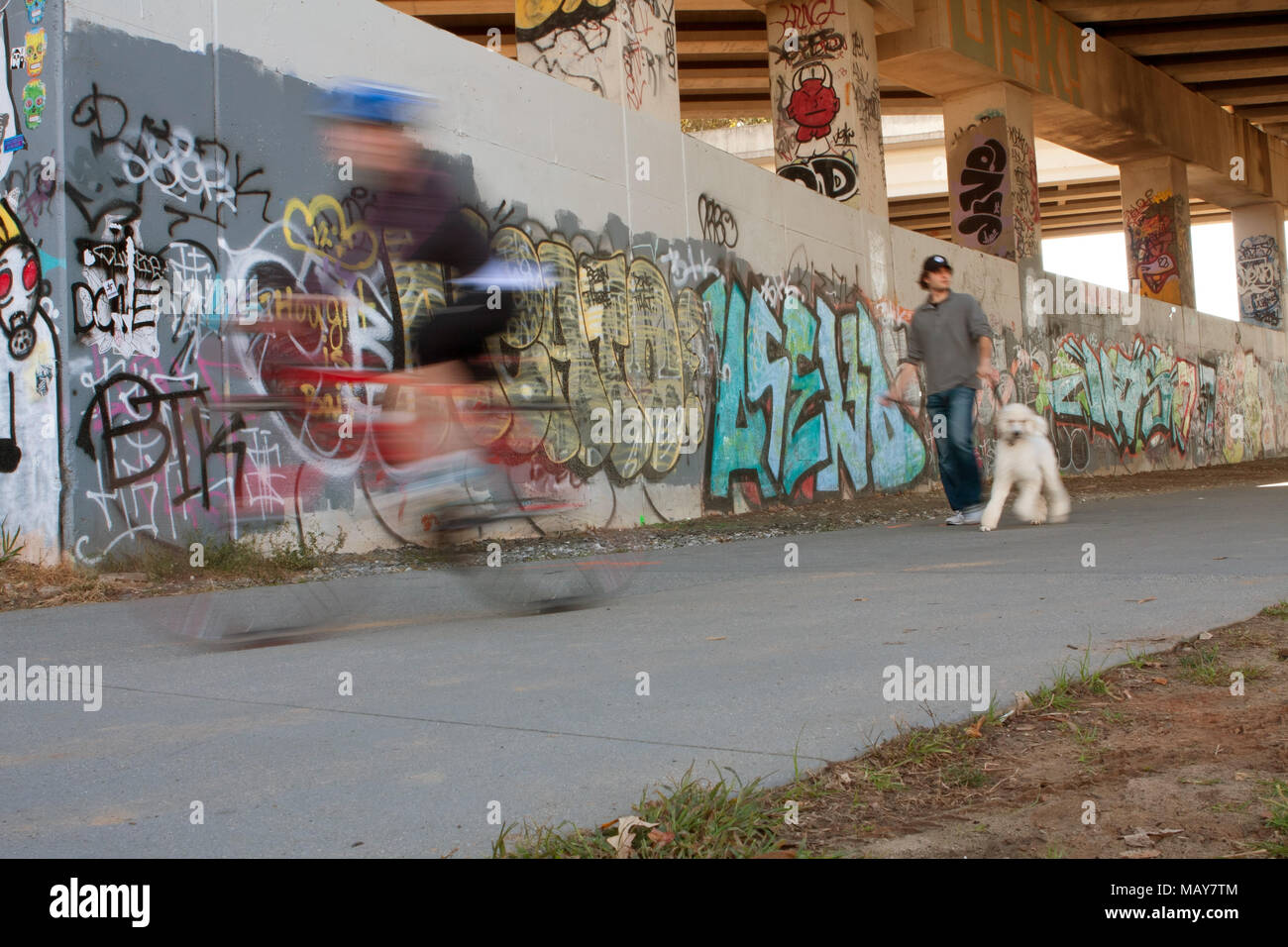 Graffiti on the concrete columns hi-res stock photography and images ...