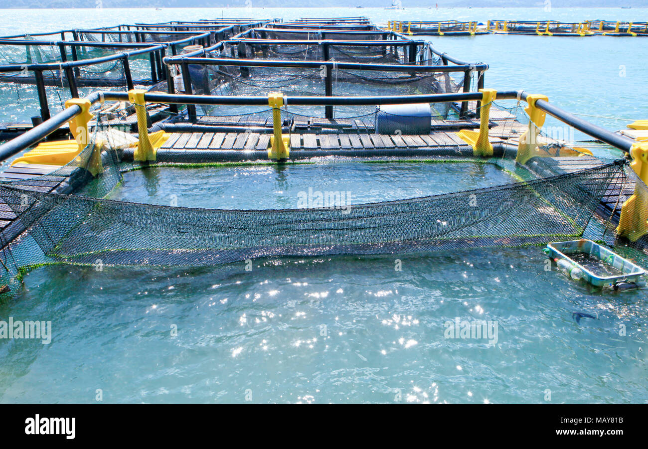 Floating fishing farm in Langkawi, managed by Abdul Halim Zainab Abidin ...