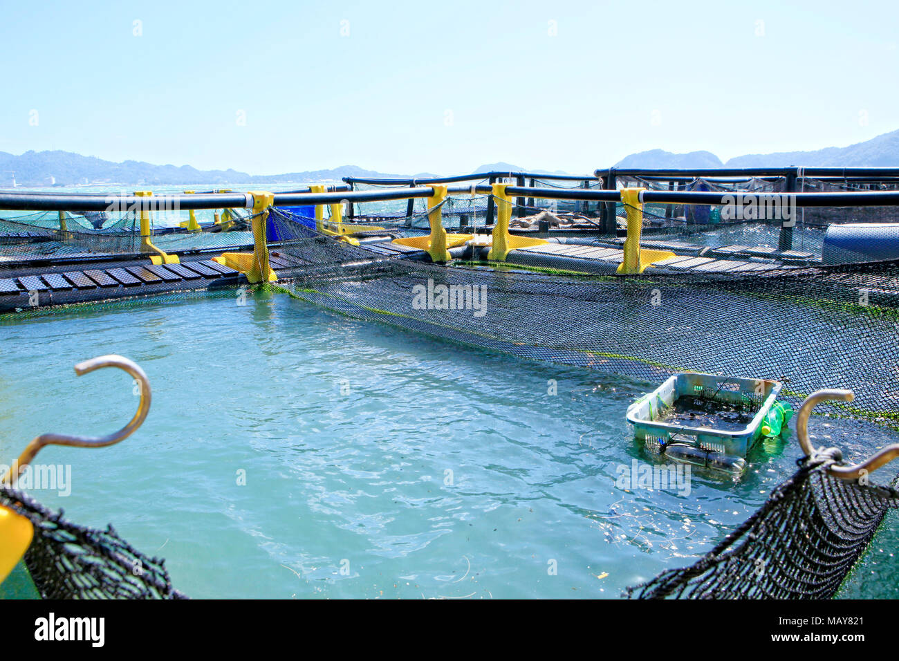 Floating fishing farm in Langkawi, managed by Abdul Halim Zainab Abidin ...