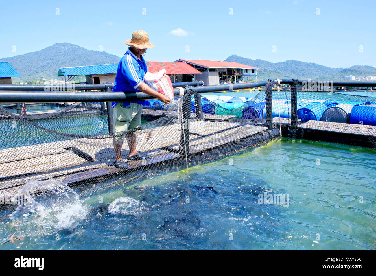 Floating fishing farm in Langkawi, managed by Abdul Halim Zainab Abidin ...