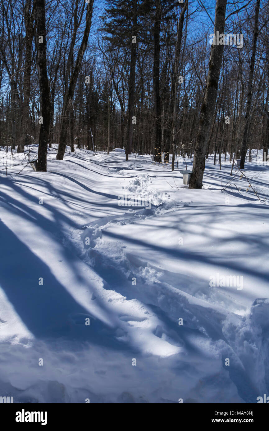 Foot path hi-res stock photography and images - Alamy