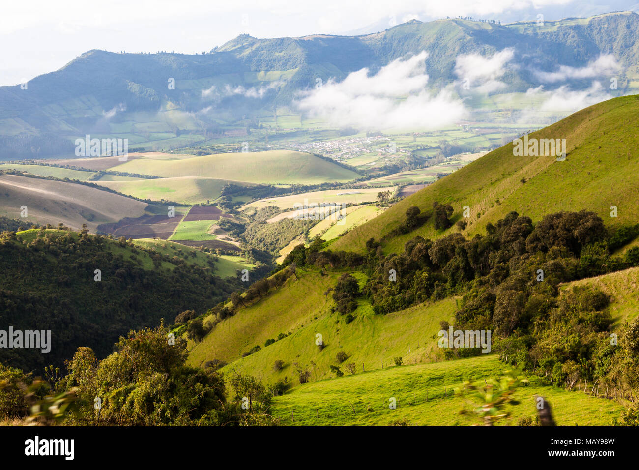 Andean landscape with agricultural crops such as potatoes, corn and ...