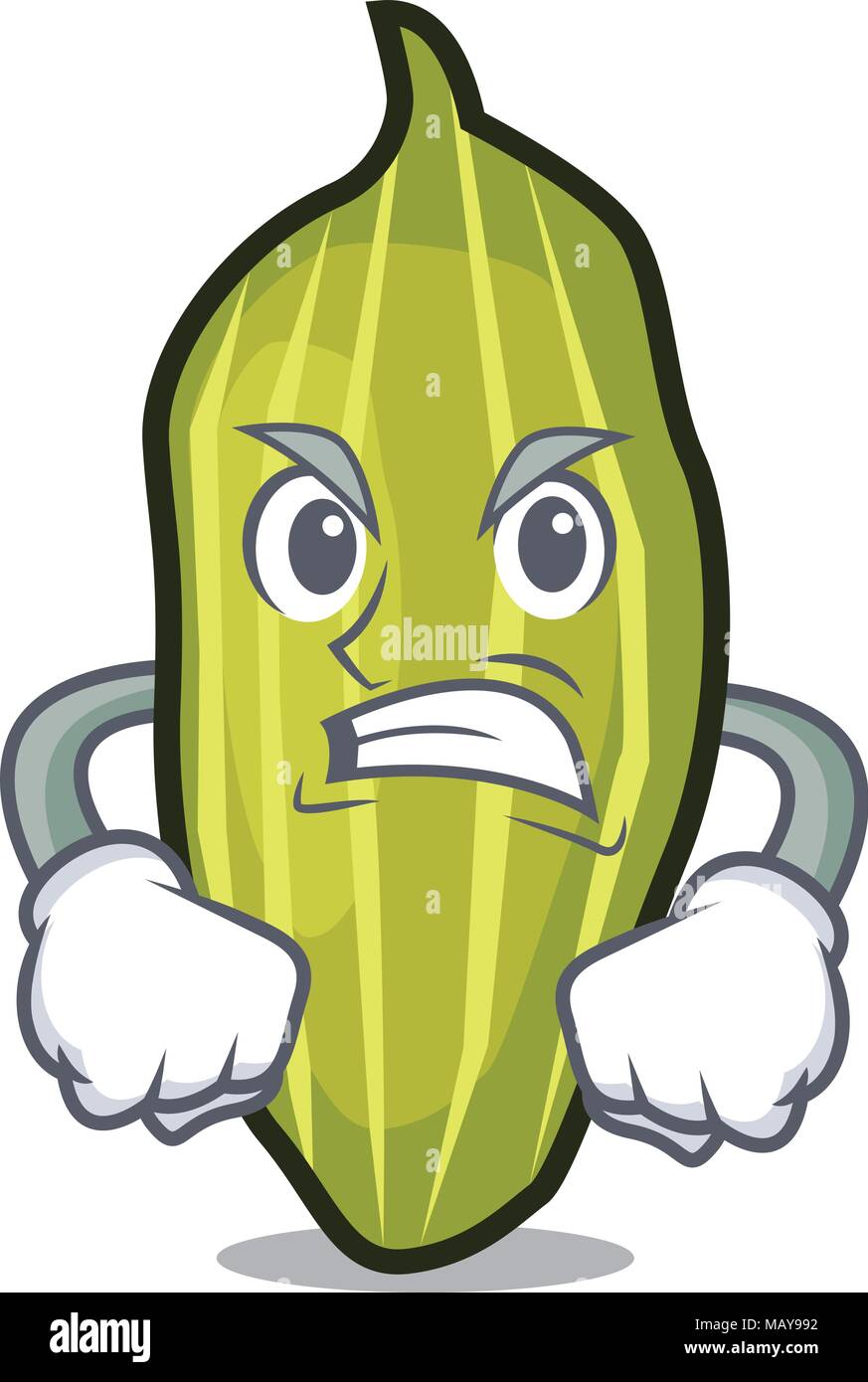 Angry cardamom mascot cartoon style Stock Vector Image & Art - Alamy