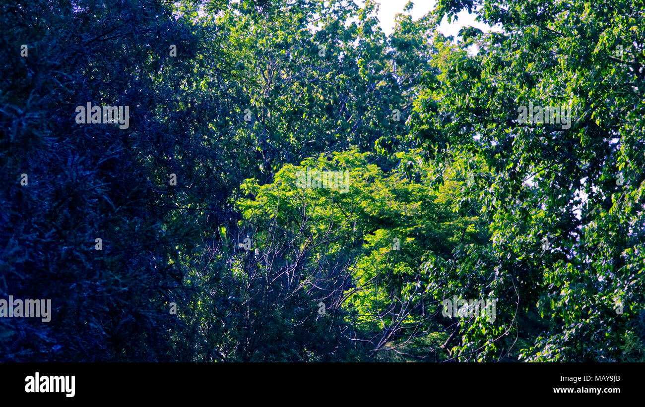 Momentary hi-res stock photography and images - Alamy