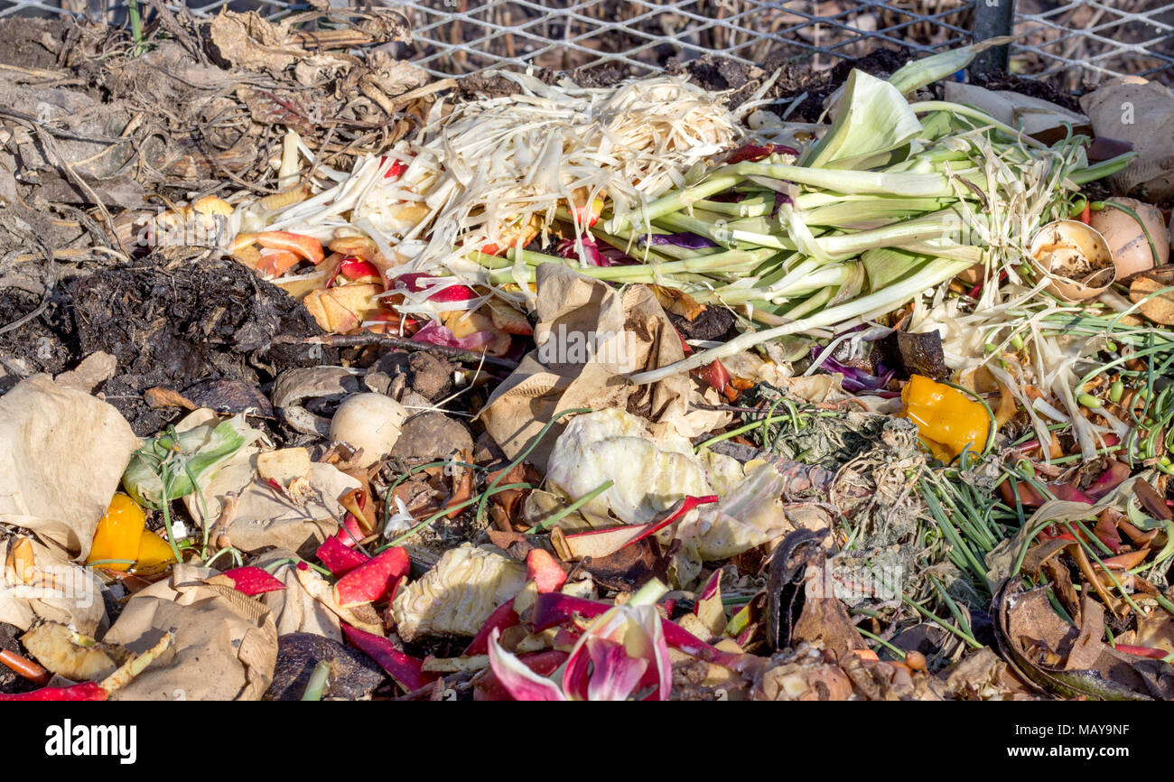 Kitchen Gardening Hi res Stock Photography And Images Alamy kitchen-gardening-hi-res-stock-photography-and-images-alamy