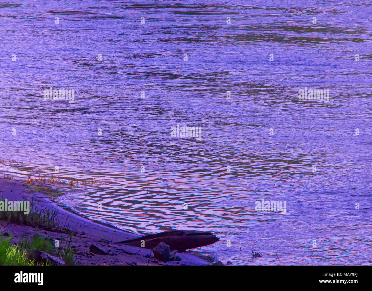 Riverside stones hi-res stock photography and images - Alamy