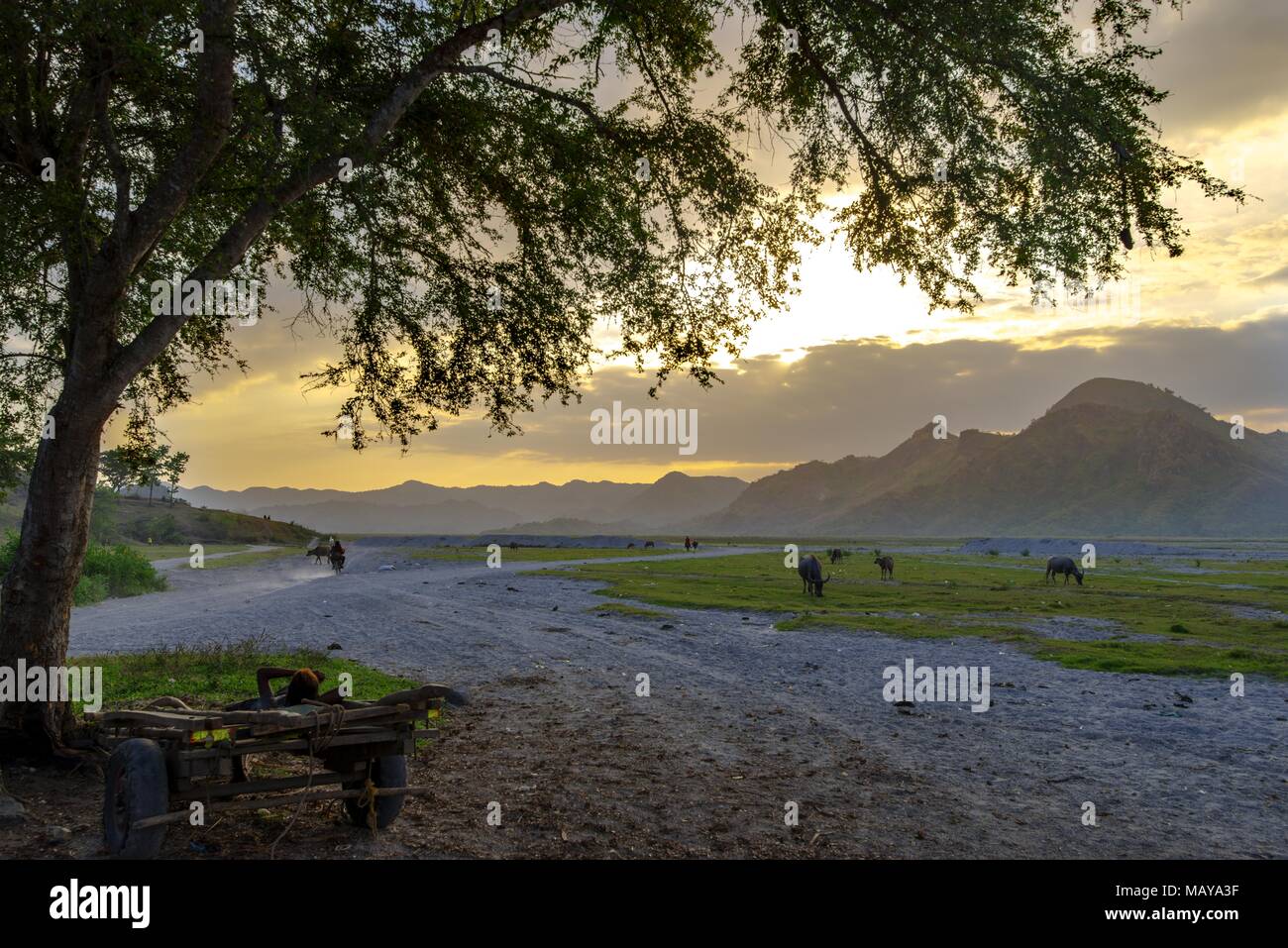 Beautiful sunset in Mt.Pinatubo , Capas, Philippines Stock Photo - Alamy