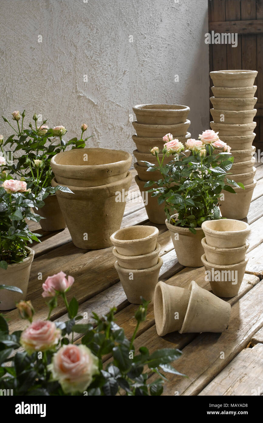 Vintage house interior with flowers Stock Photo - Alamy