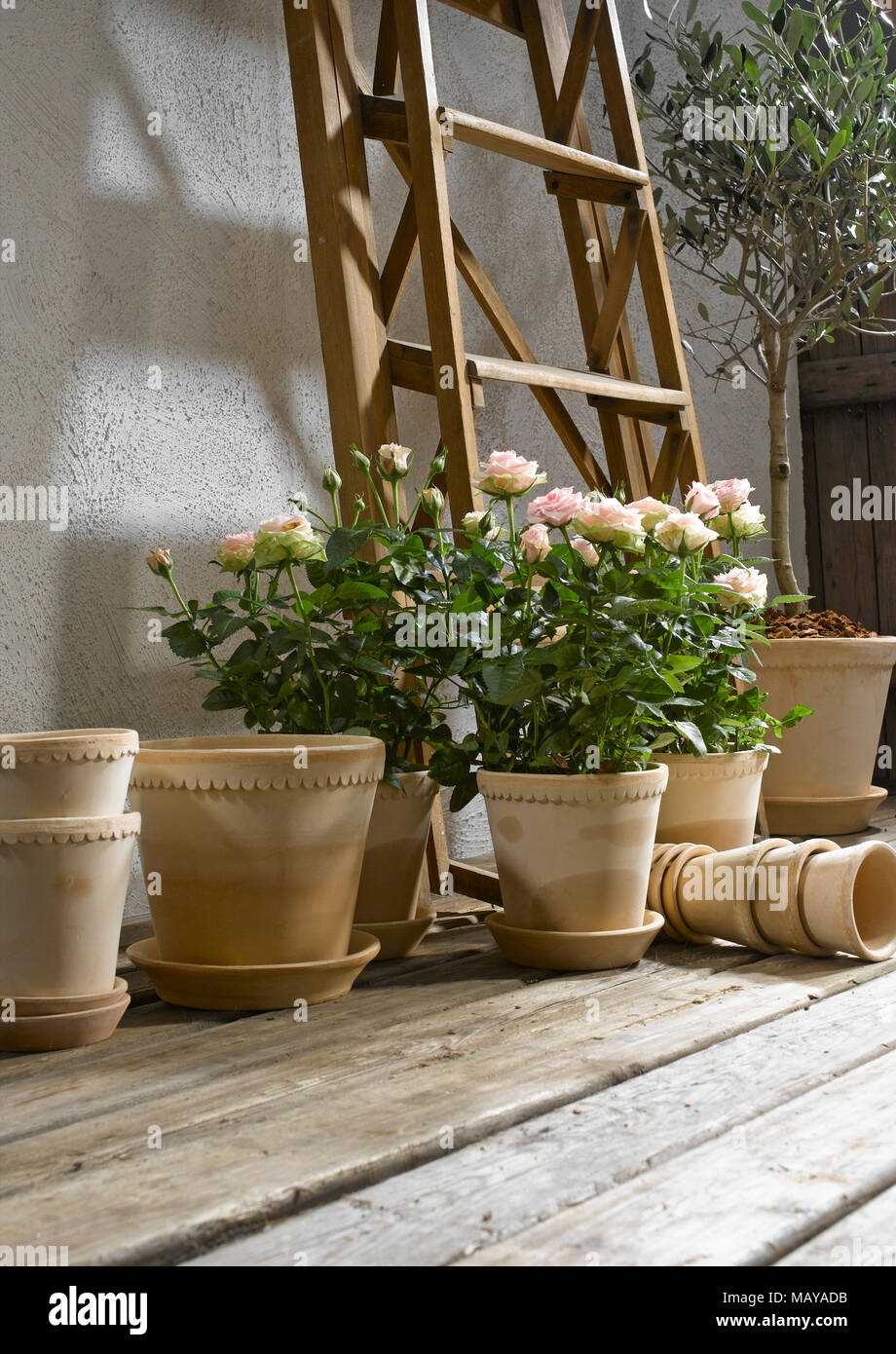 Vintage house interior with flowers Stock Photo - Alamy
