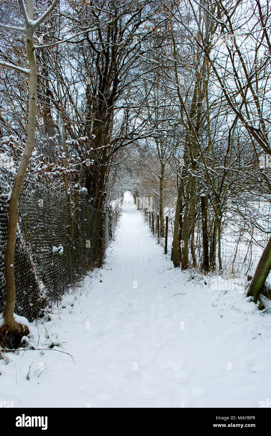 Frosty path hi-res stock photography and images - Alamy