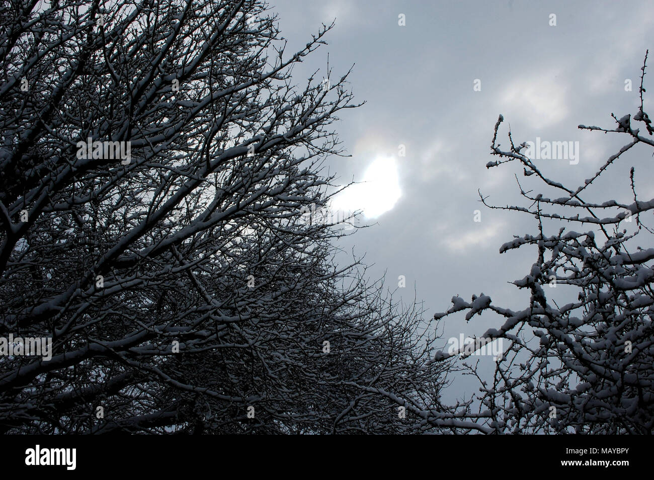 Cold grey winter sky hi-res stock photography and images - Alamy