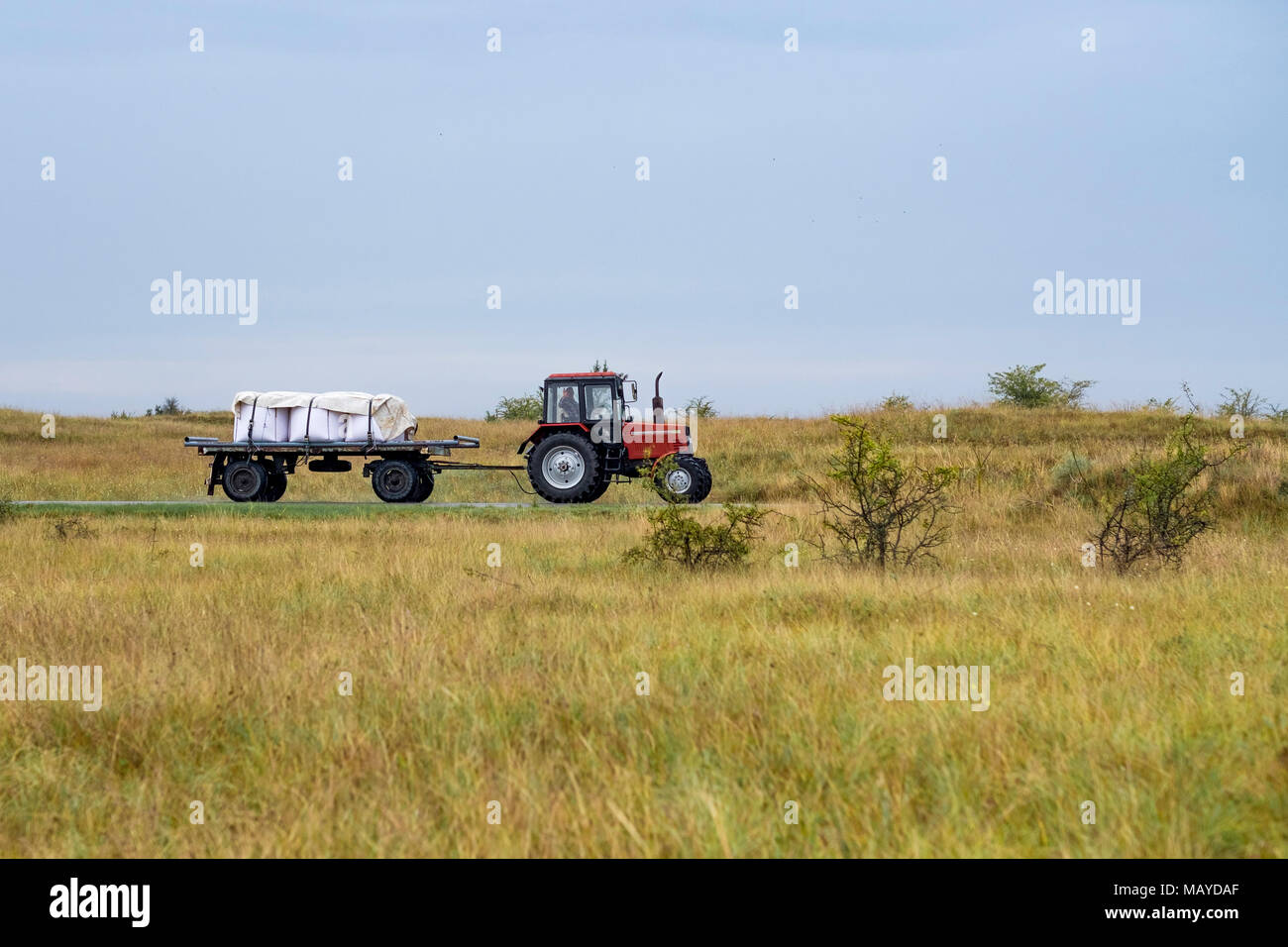 Red tractor in open field going right Stock Photo - Alamy