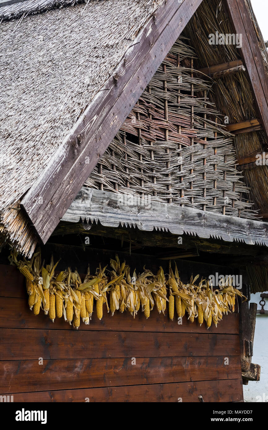 Corn cobs hanging under a traditional wooden cornice Stock Photo - Alamy