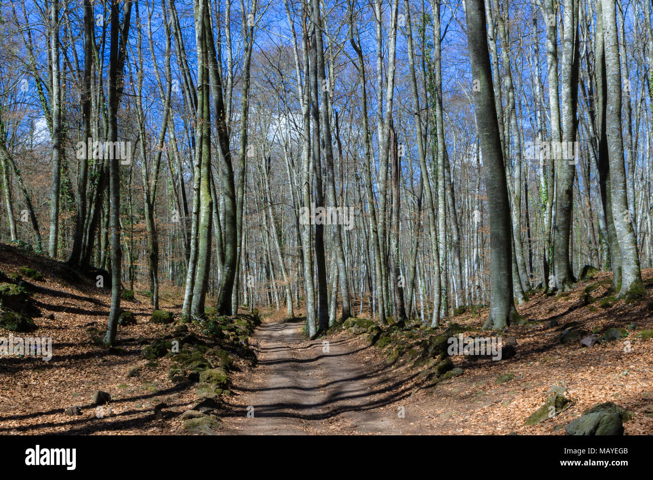 Olot spain hi-res stock photography and images - Alamy