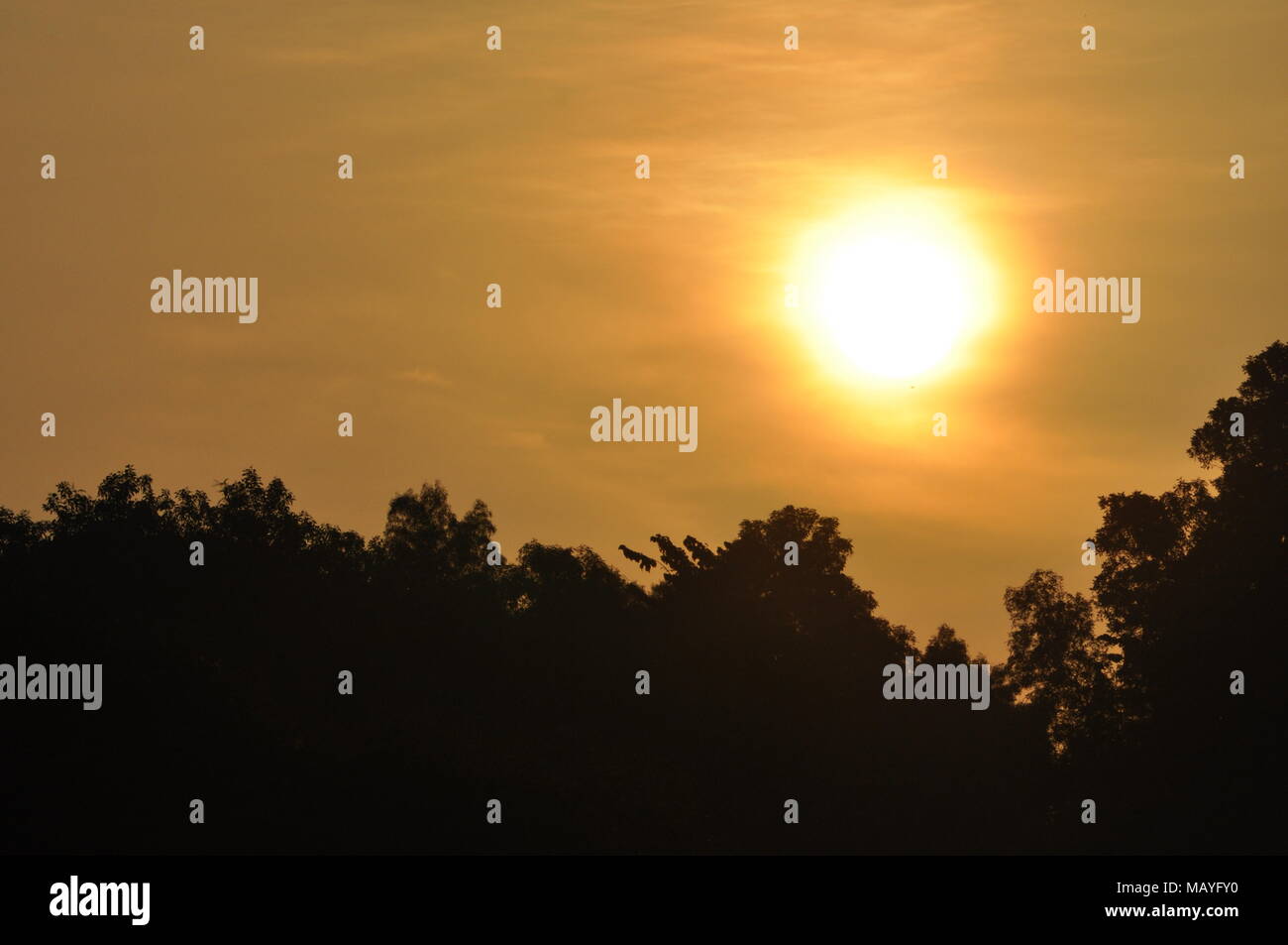 Morning sun picture hi-res stock photography and images - Alamy