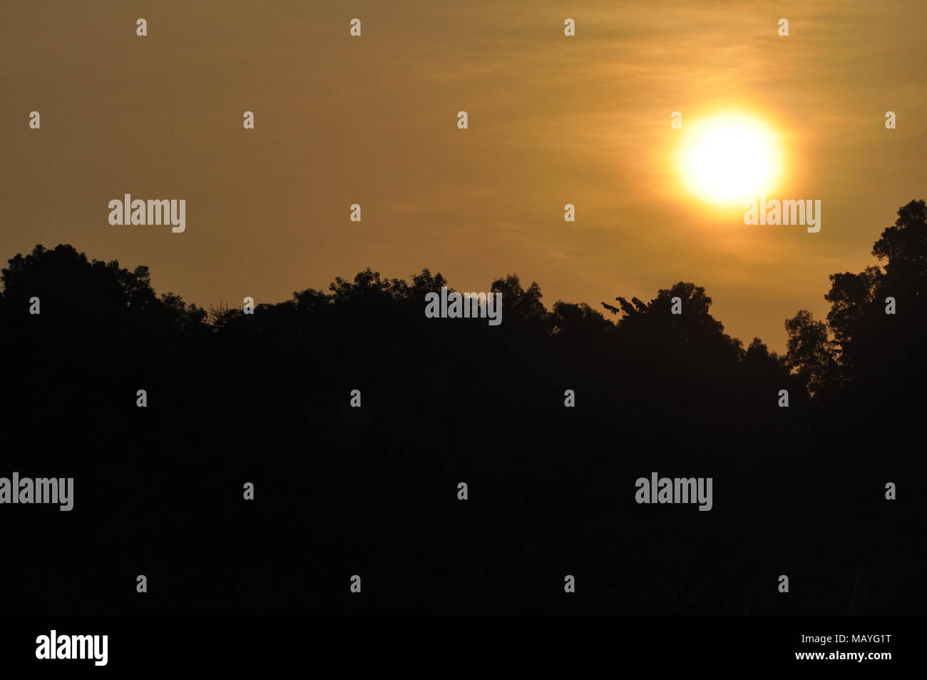 Morning sun picture hi-res stock photography and images - Alamy