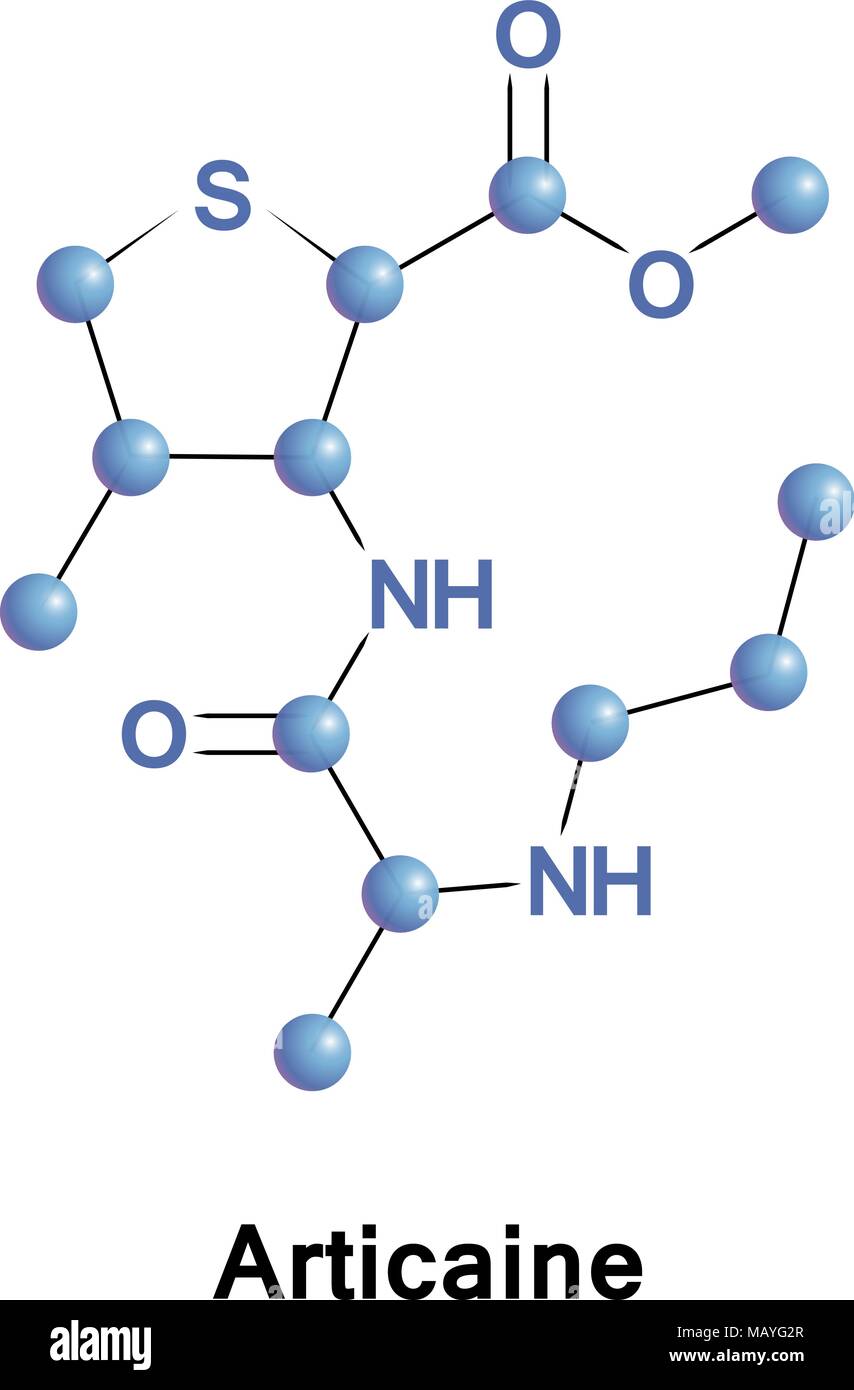 Articaine medical illustration Stock Vector Image & Art - Alamy