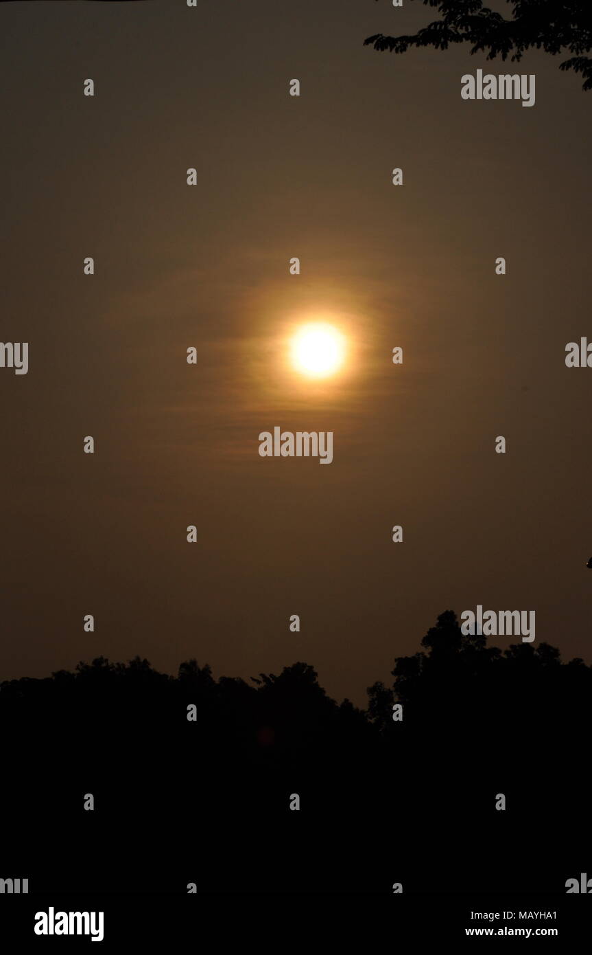 Morning sun picture hi-res stock photography and images - Alamy