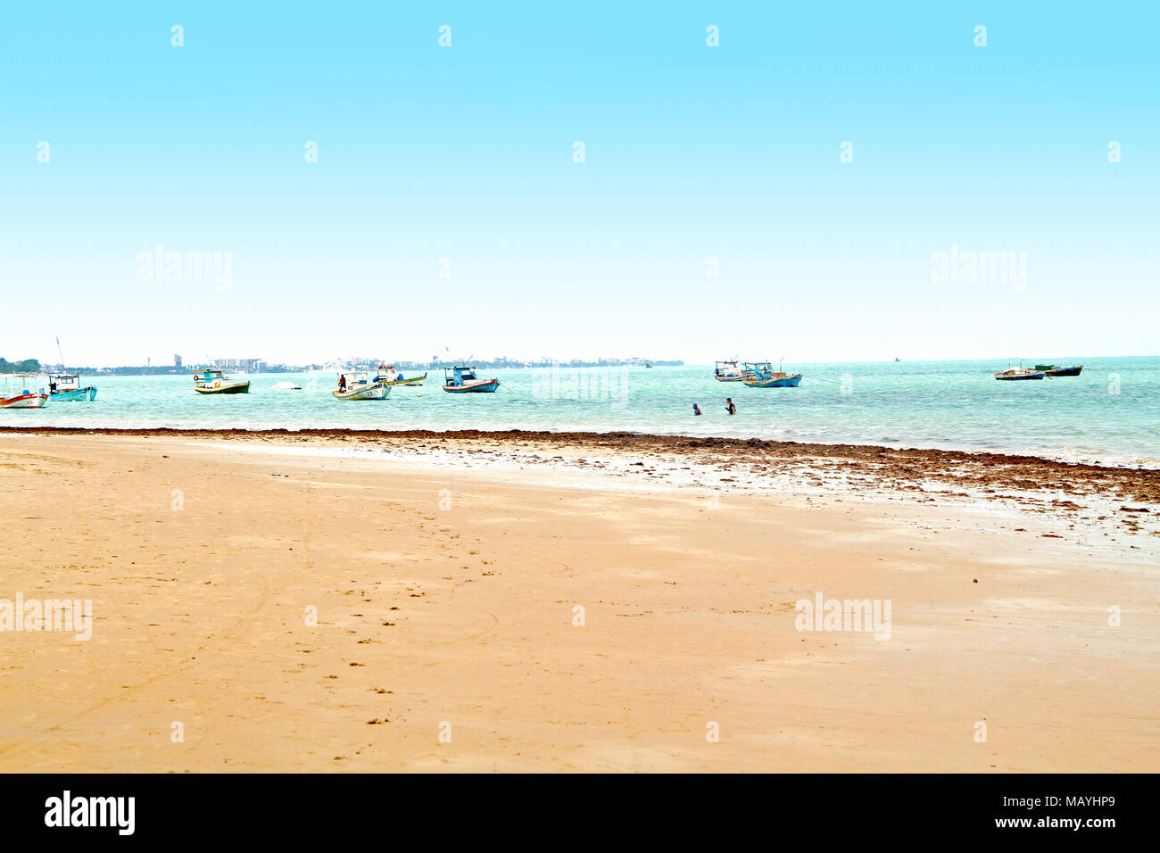 Sand fishman hi-res stock photography and images - Alamy