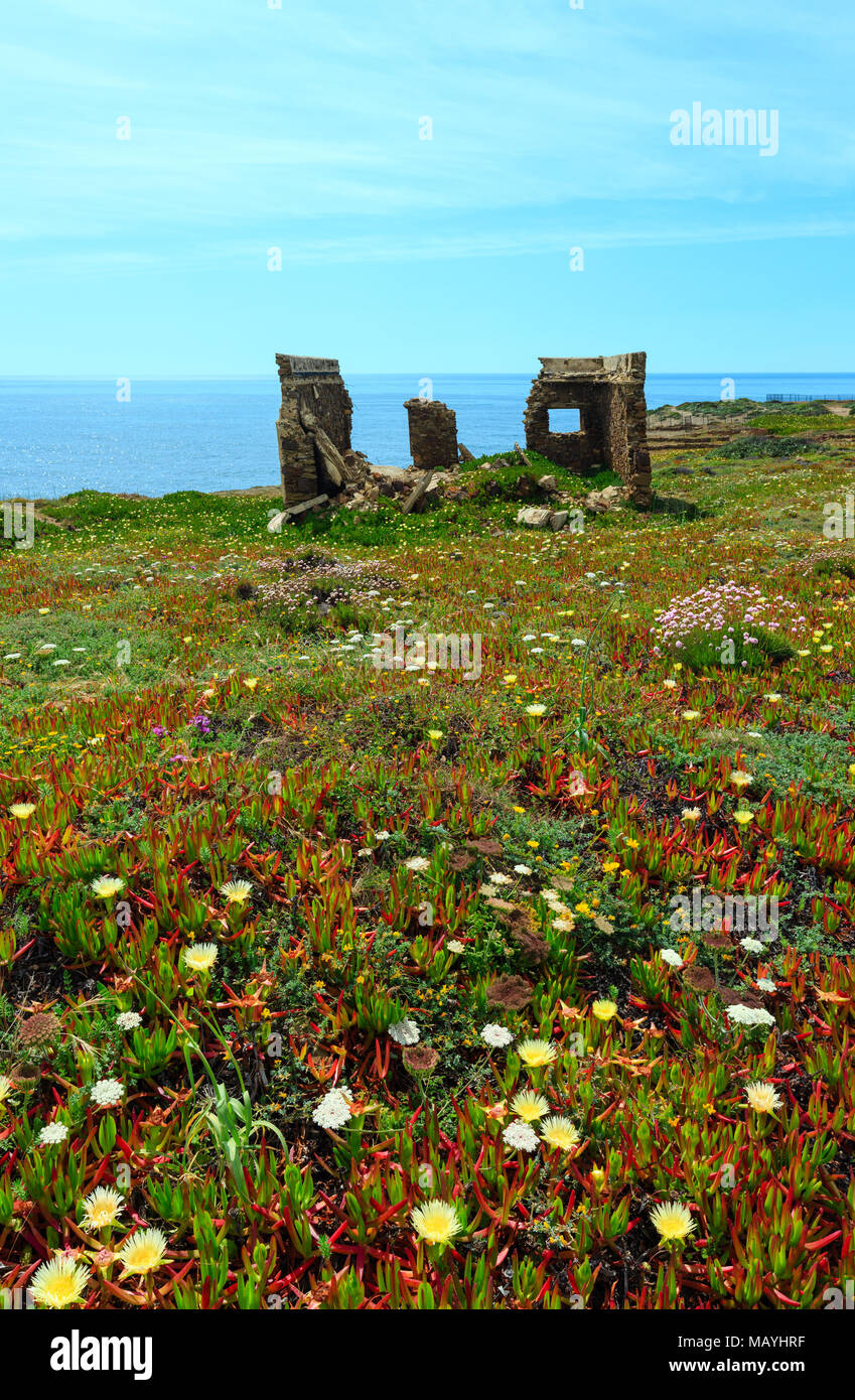 Summer blossoming Atlantic ocean coast scenery and 12th century ...