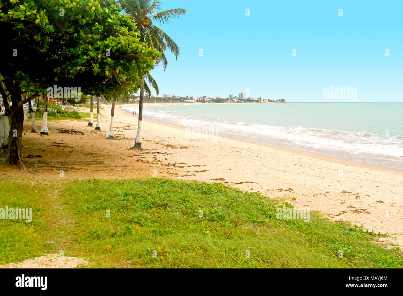 Beach, João pessoa, Paraiba, Brazil Stock Photo - Alamy