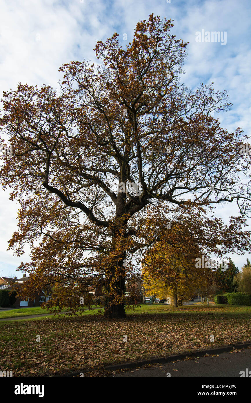 Harpole church hi-res stock photography and images - Alamy