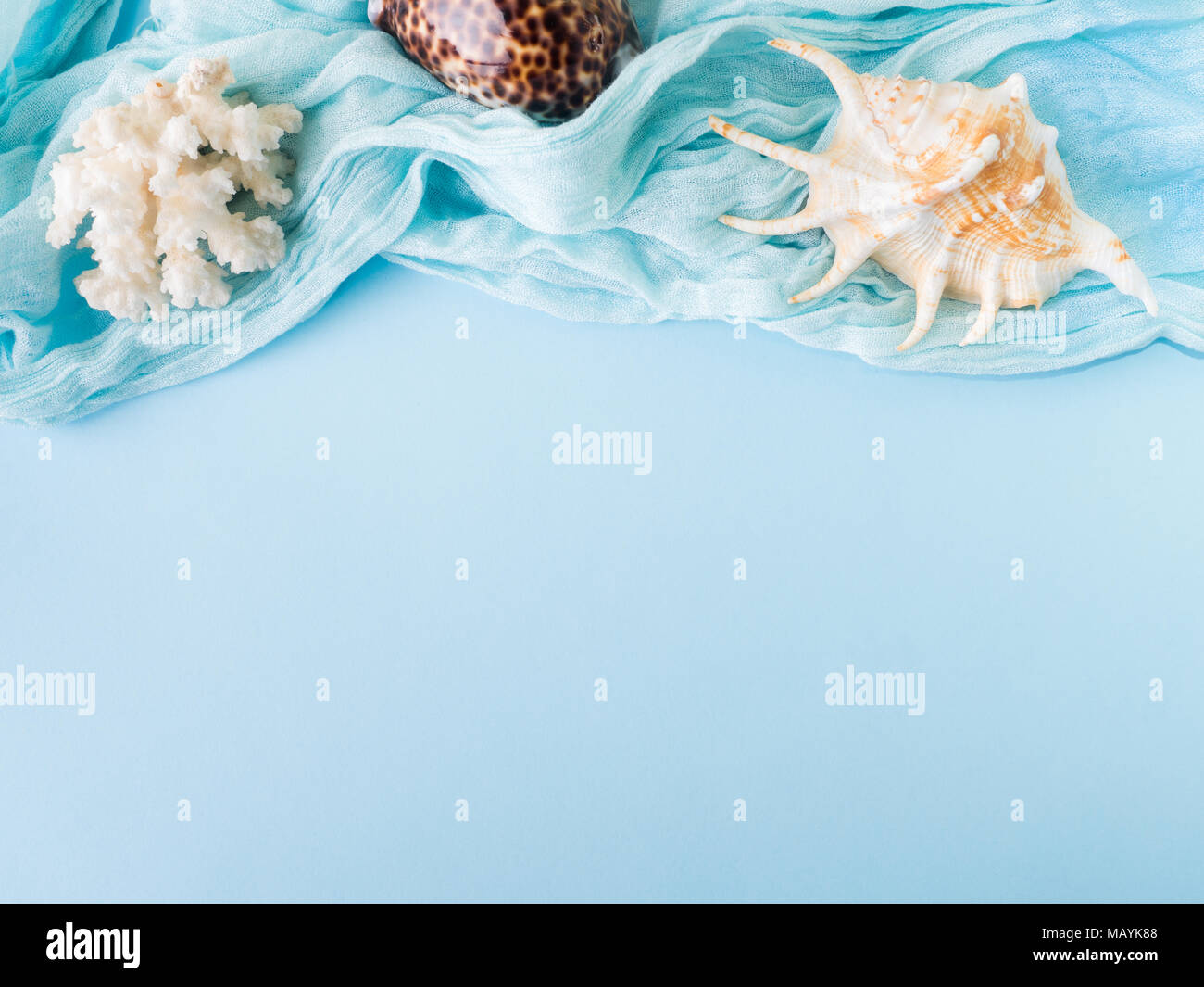 Shells of various kinds on a blue background. Seashells and starfish on ...