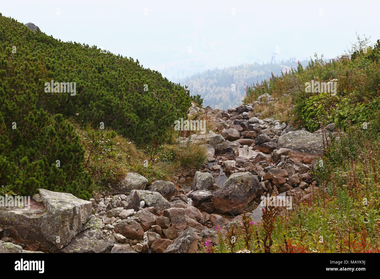 Rocky brook hi-res stock photography and images - Alamy