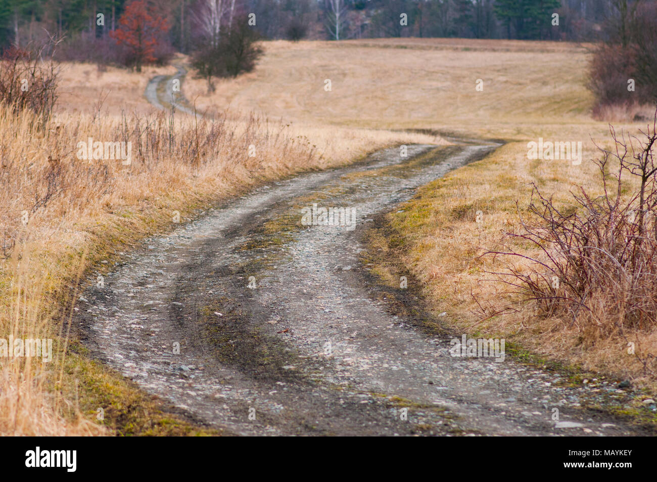 Winding mountain dirt road Stock Photo - Alamy