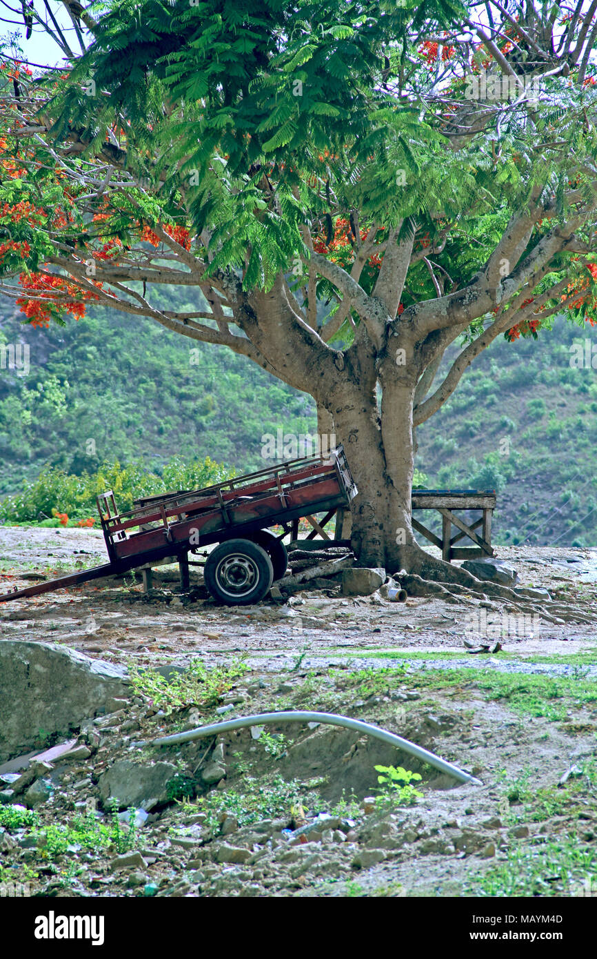 Wagon tree hi-res stock photography and images - Alamy